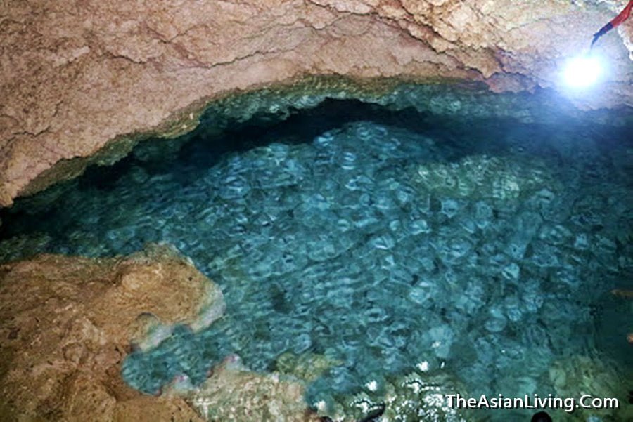 CAMOTES ISLAND TOURIST SPOTS | The Asian Living