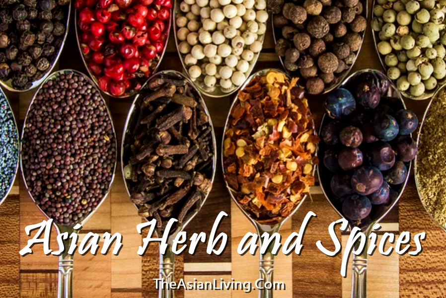 DISCOVERING TOP ASIAN SPICES AND HERBS